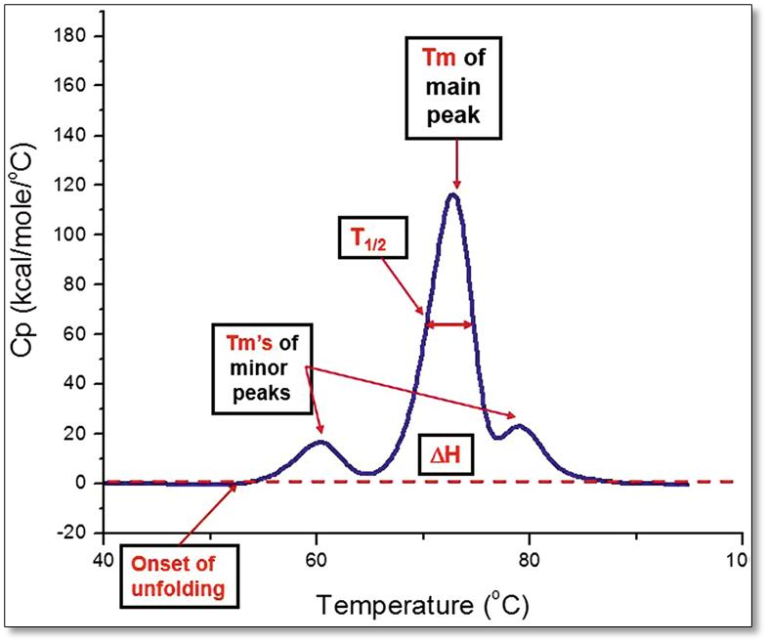 Nano DSC for protein characterization - Center for Biopharma Analysis