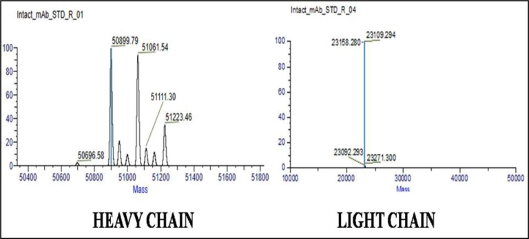 Intact mass analysis by HRMS - Center for Biopharma Analysis
