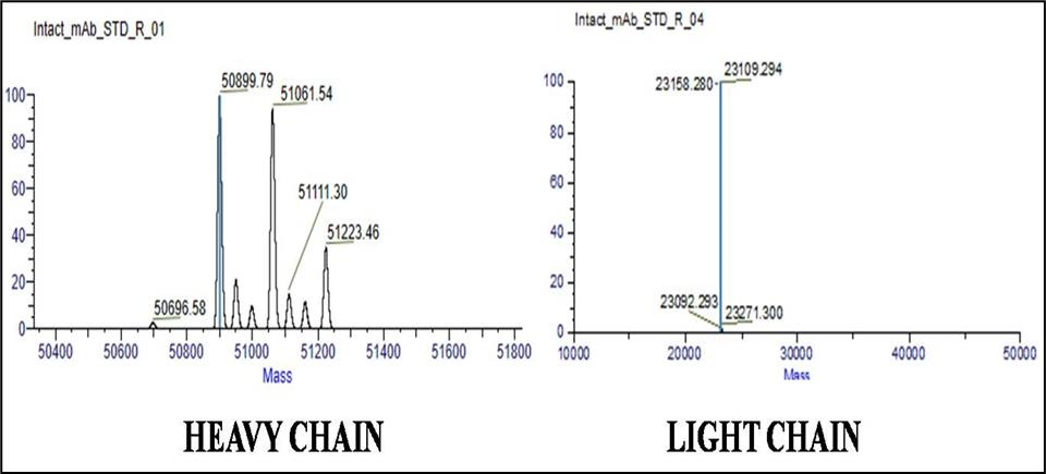 Intact mass analysis by HRMS - Center for Biopharma Analysis